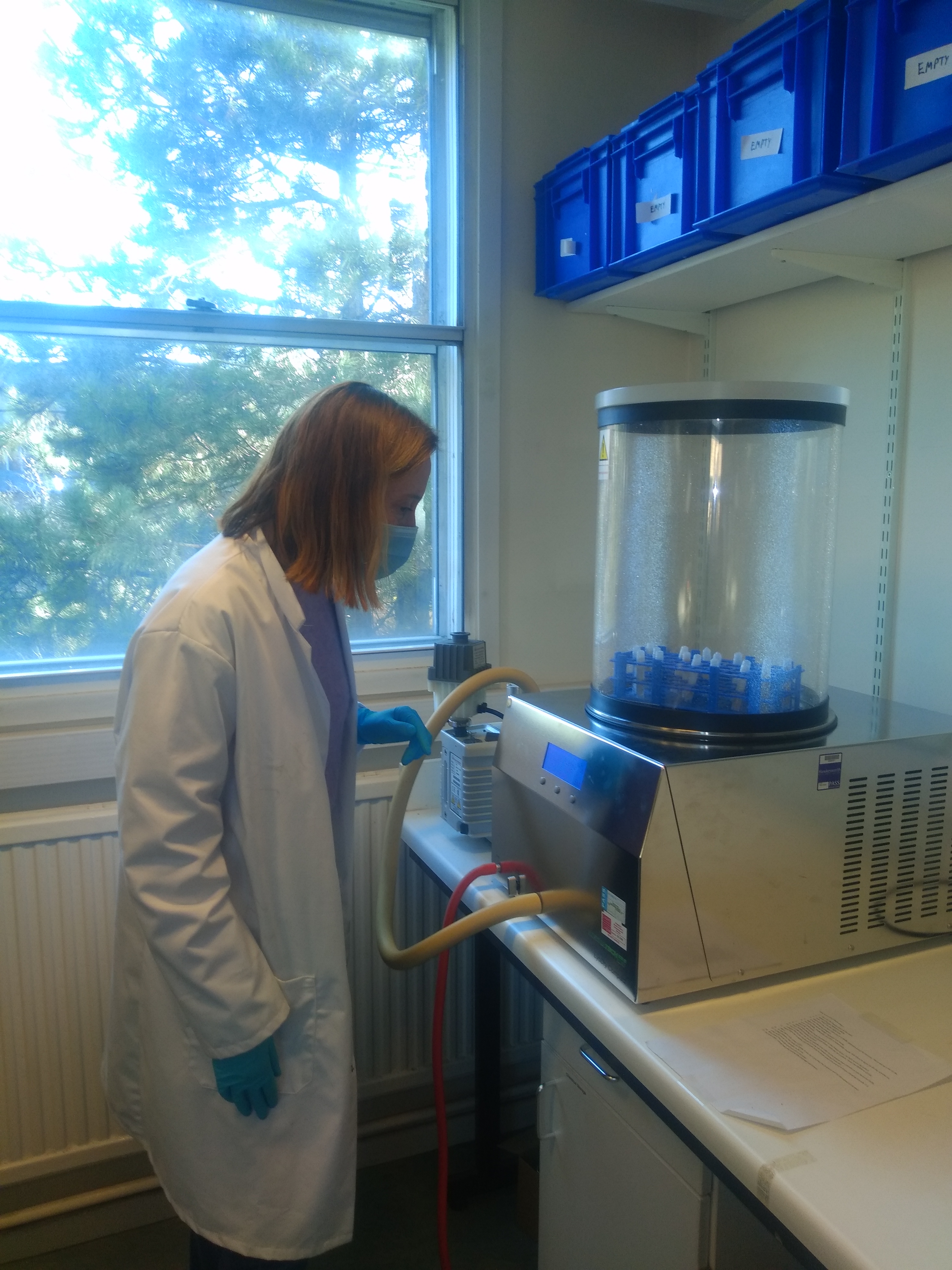 Isotope analysis starts at Cardiff – Passage Tomb People