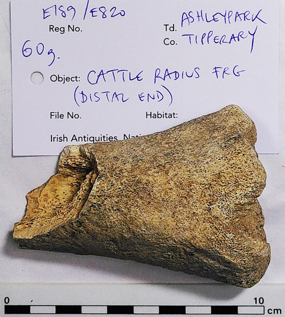 A GOOD START – Passage Tomb People